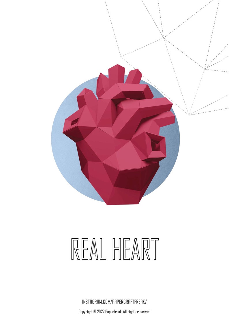 Papercraft 3D REAL ANATOMICAL HEART Pepakura Pdf Template Low - Etsy
