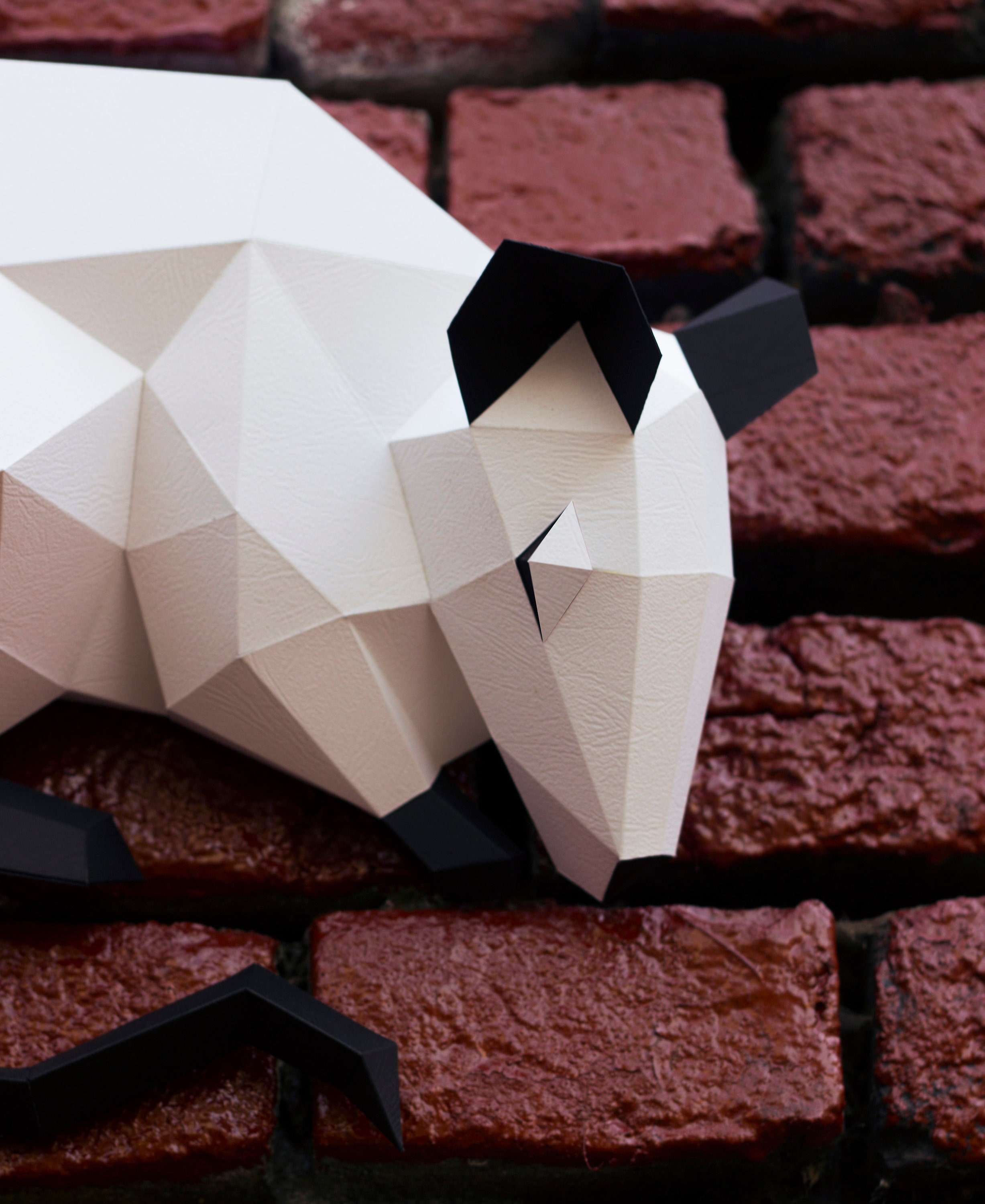 Papercraft 3d RAT MOUSE 3 Low Poly Paper Sculpture Diy Gift - Etsy