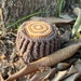 Crochet a Tree Stump for Decoration | Amigurumi Crochet Pattern - Etsy