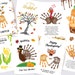 Thanksgiving Handprint Footprint Craft Bundle, Thanksgiving Handprint ...
