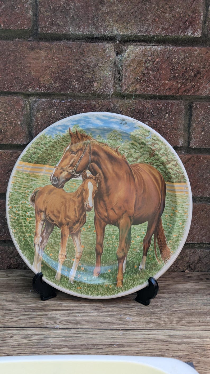 Debonair Pottery Ironstone Ware Horse & Foal Collector Plate – Made in ...