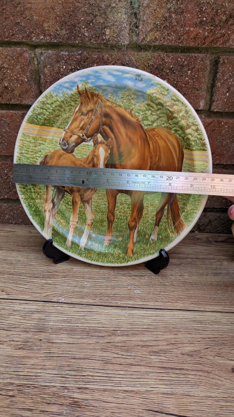 Debonair Pottery Ironstone Ware Horse & Foal Collector Plate – Made in ...