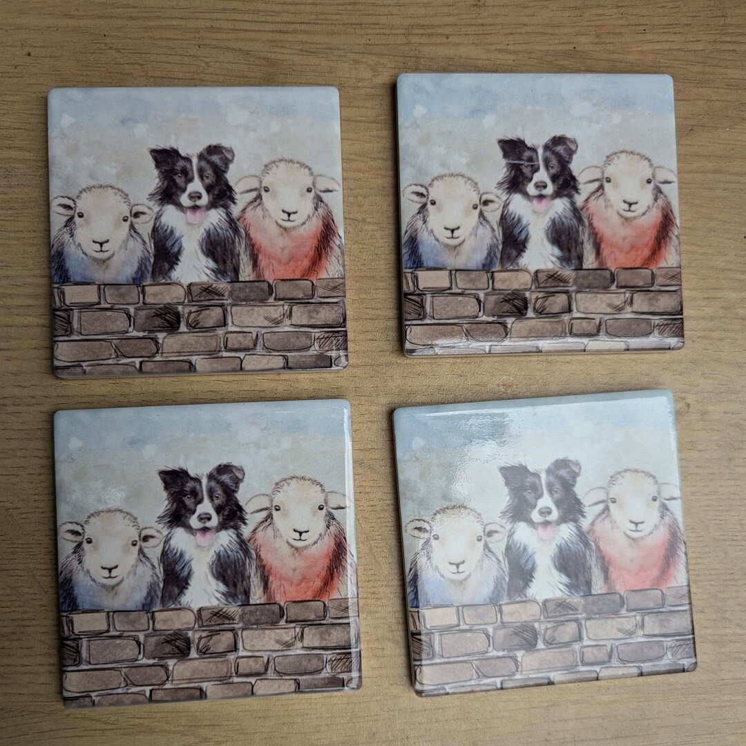 Border Collie and Sheep Set of 4 Ceramic Coasters, Never Used. Corked ...