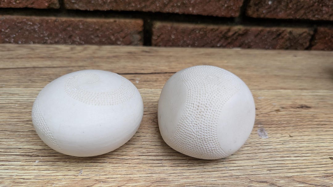 Nancy Main Textured Porcelain Pebble Sculptures – Fossil Spiral ...