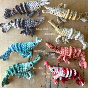 Variegated Crochet Shrimp (large) - Etsy