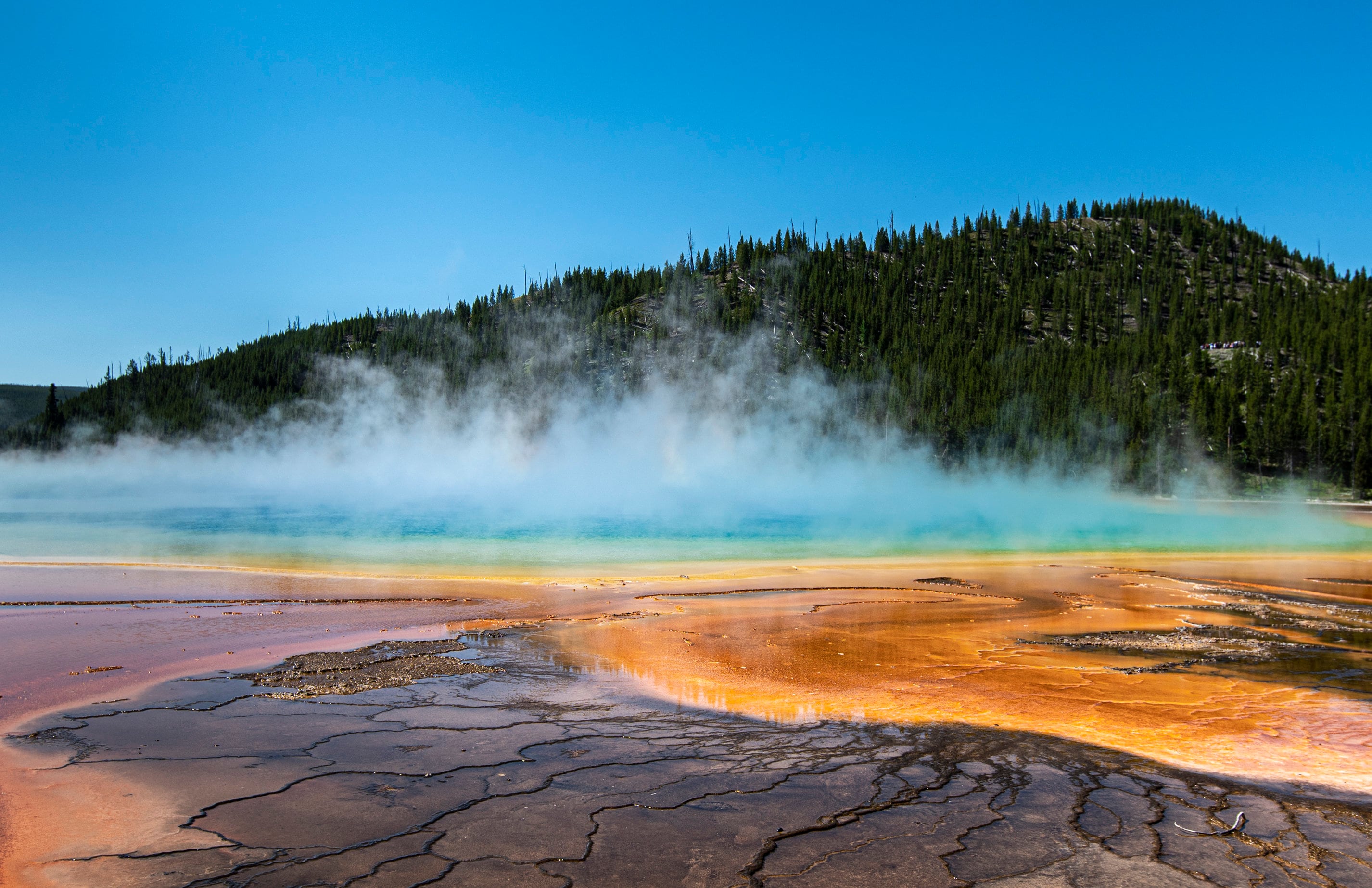 Grand Prismatic Spring 11x17 - Etsy