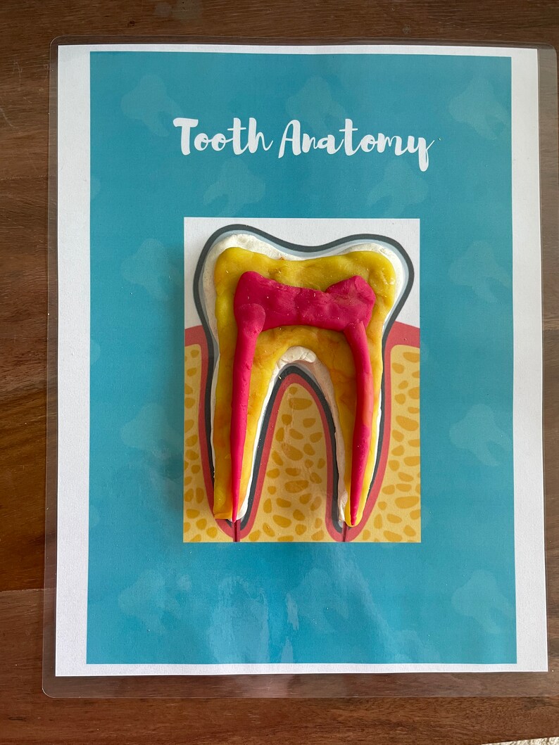 Kid's Dental Activity | Brush Teeth | Dental Education Poster | Kid's ...