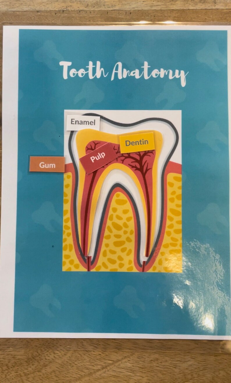 Kid's Dental Activity | Brush Teeth | Dental Education Poster | Kid's ...