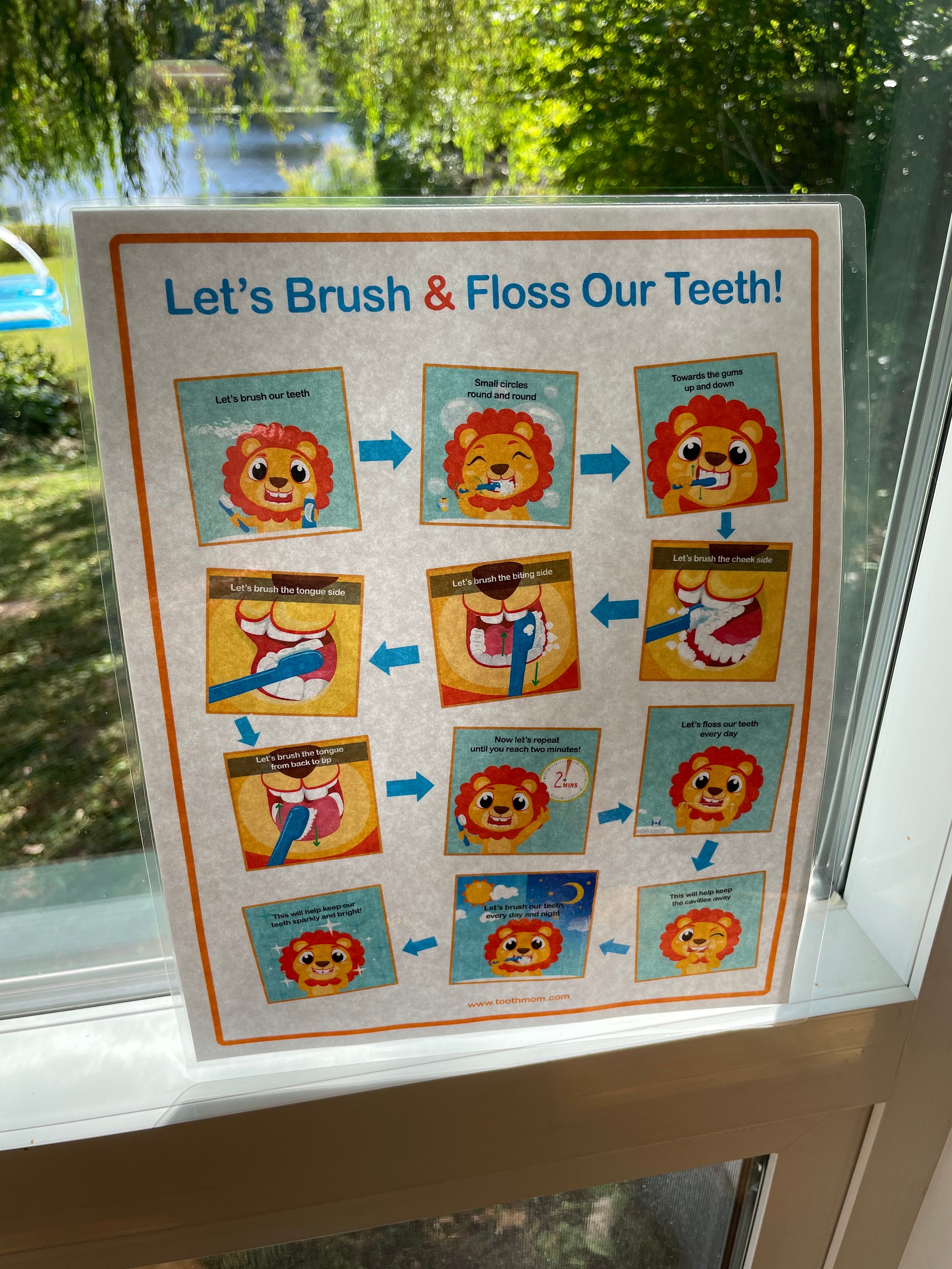 Brushing Routine | Brush Teeth | Dental Education Poster | Kid's Dental ...