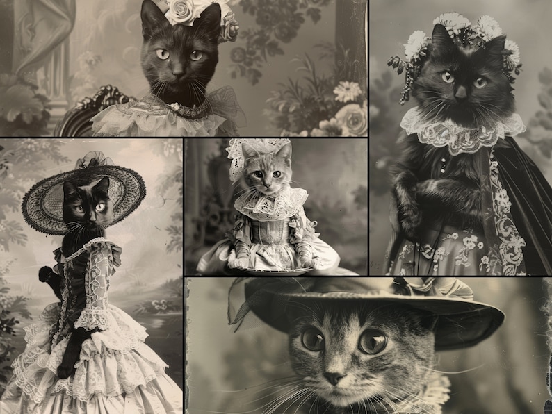 Victorian Cats Photo Pack PRINTABLE Vintage Junk Journal Ephemera ...