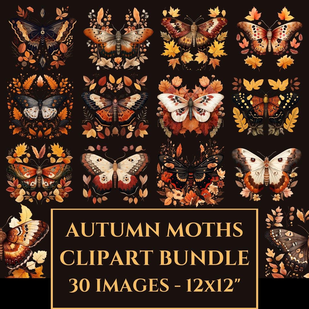 Autumn Moths PNG Clipart Bundle Moth Images Fall Season PNG Commercial ...