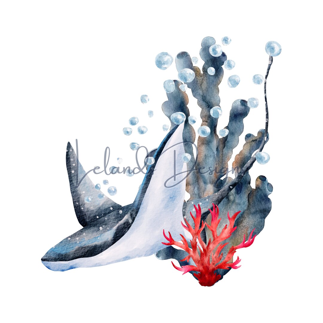 Sting Ray Dance PNG Graphic Download Watercolor Ray and Coral Digital ...