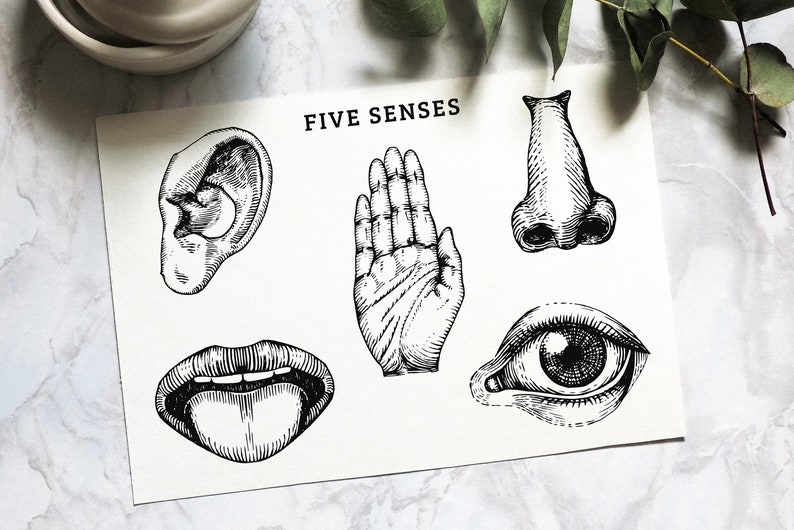 5 Senses Art Print, 5 Senses Tags, Five Senses Printables, Five Senses ...