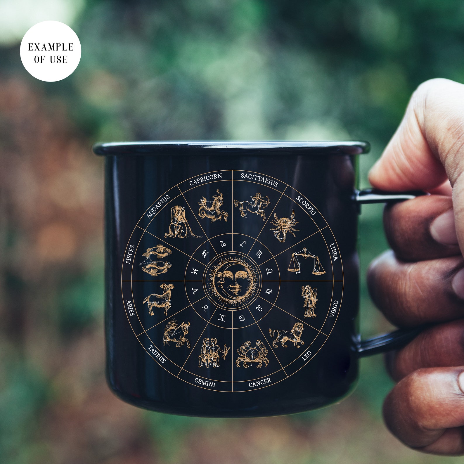 Zodiac Wheel, Horoscope Signs, Astrology Symbols, Star Constellation ...