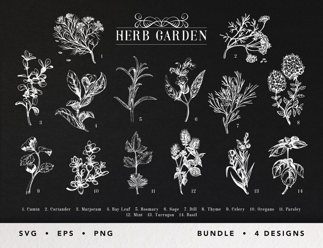Herb Garden, Herbs Svg, Farmhouse Decor With Rosemary, Thyme Svg, Herbs ...