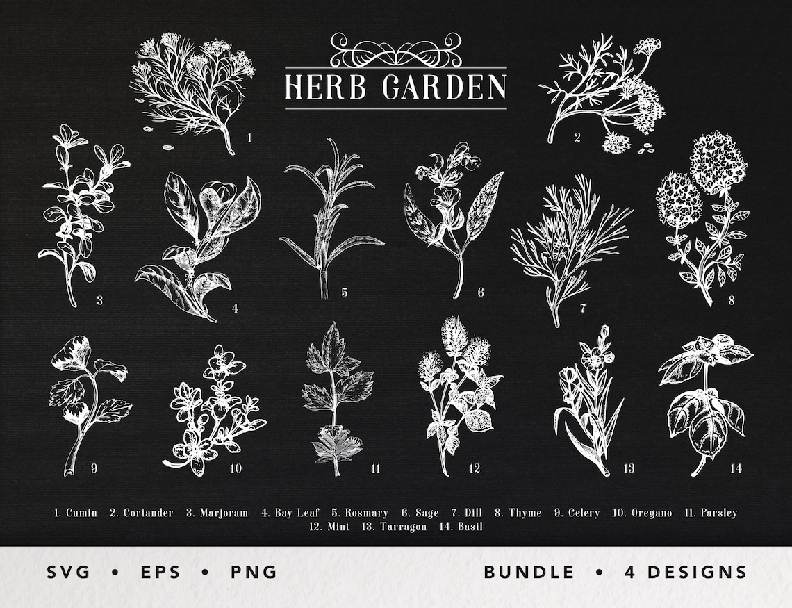 Herb Garden, Herbs Svg, Farmhouse Decor With Rosemary, Thyme Svg, Herbs ...