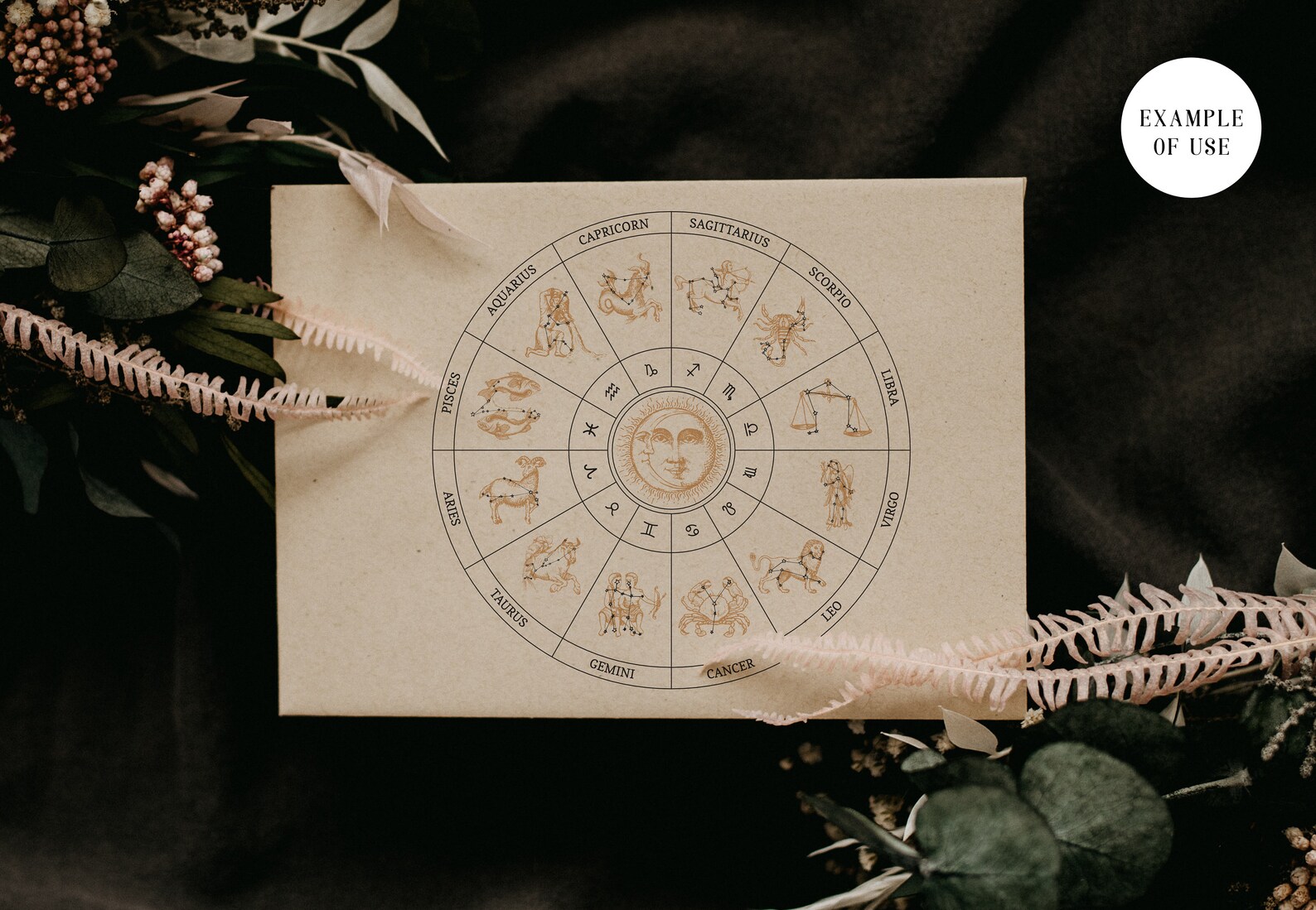Zodiac Wheel, Horoscope Signs, Astrology Symbols, Star Constellation ...