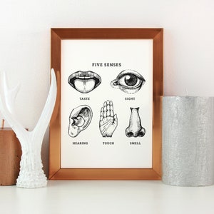 5 Senses Art Print, 5 Senses Tags, Five Senses Printables, Five Senses ...