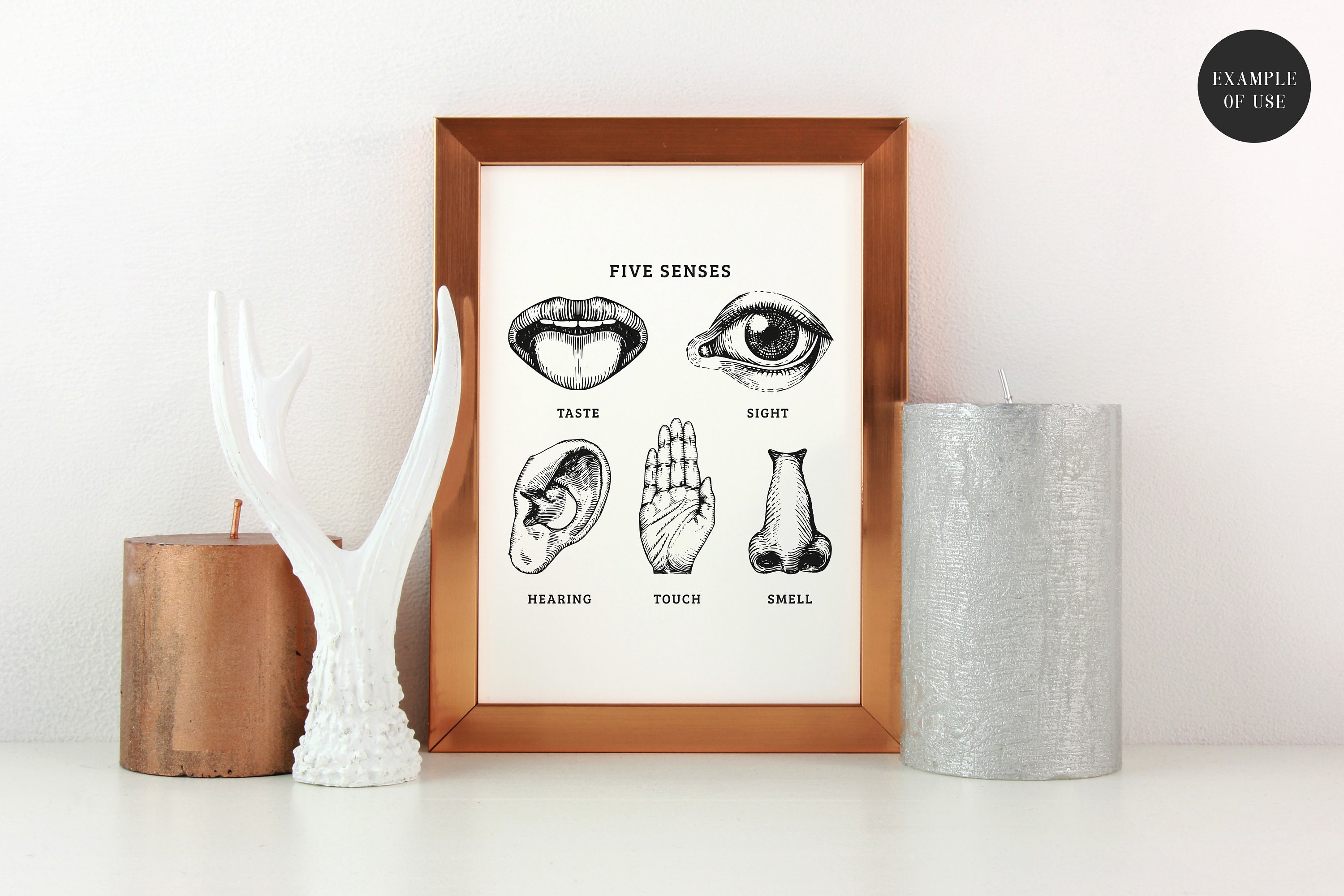 5 Senses Art Print, 5 Senses Tags, Five Senses Printables, Five Senses ...