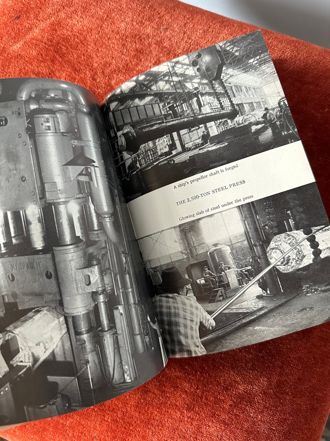 Vintage 1961 Germany in a Nutshell Illustrated Softcover Book by ...