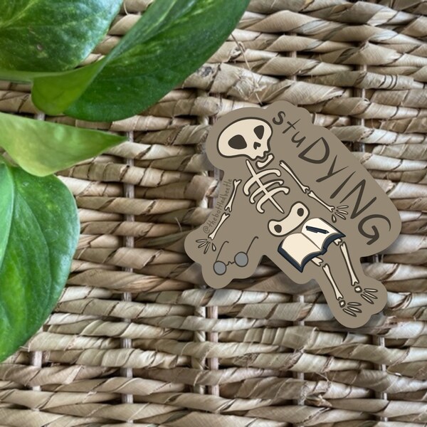 School Laptop Stickers - Etsy