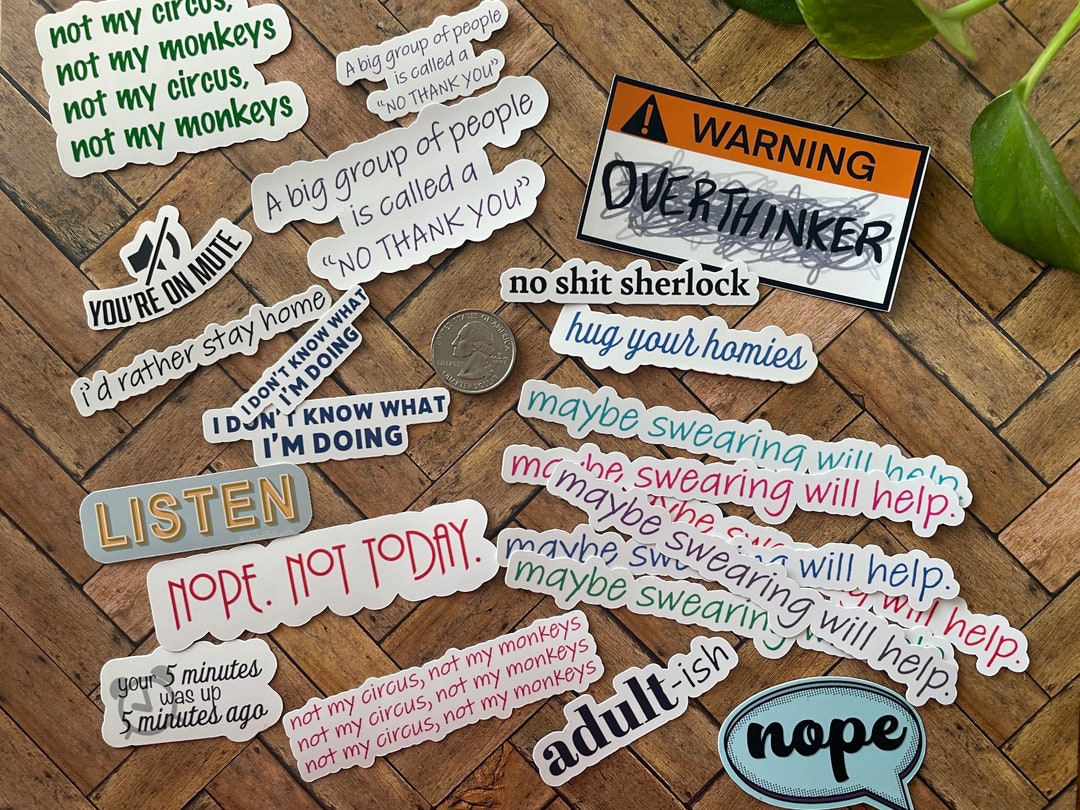 Funny Adult Stickers Pack, Sarcastic Stickers, Kindle Stickers, Sticker ...