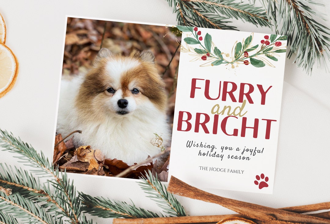Dog Christmas Card, Puppy Christmas Card, Christmas Card With Photos ...