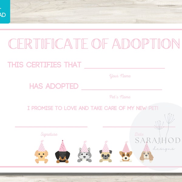 Stuffed Animal Adoption Certificate - Etsy