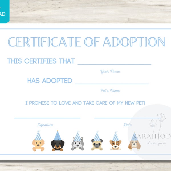 Stuffed Animal Adoption Certificate - Etsy