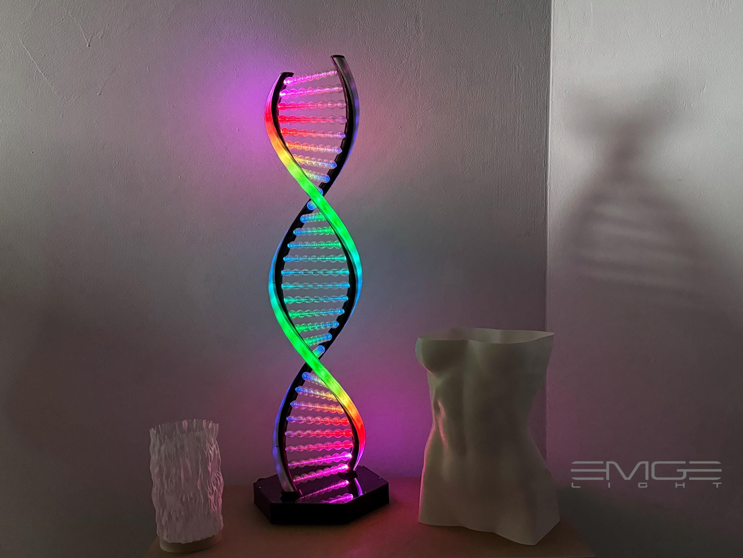 3d Printed LED Lamp, DNA Double Helix, Biology Science Gift, Science ...