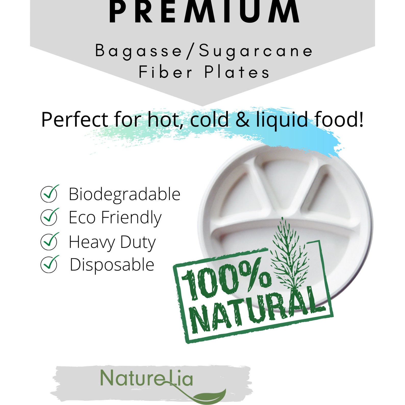 Sugarcane 11-inch Sectional Plates: Eco-friendly Party Platter, 50 Pack ...