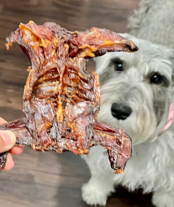Is Quail Good For Dogs