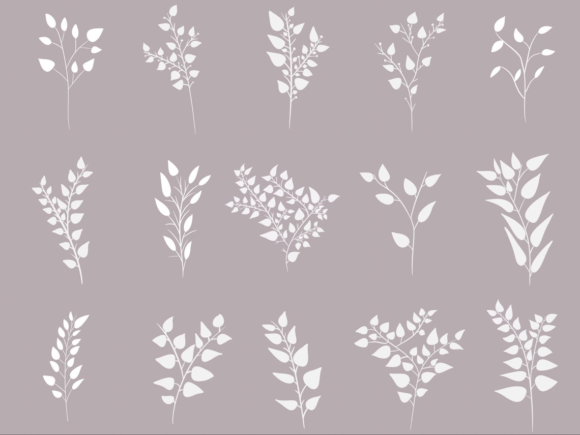 Branch Clipart, Botanical Svg, Wedding Clipart Digital Download - Etsy
