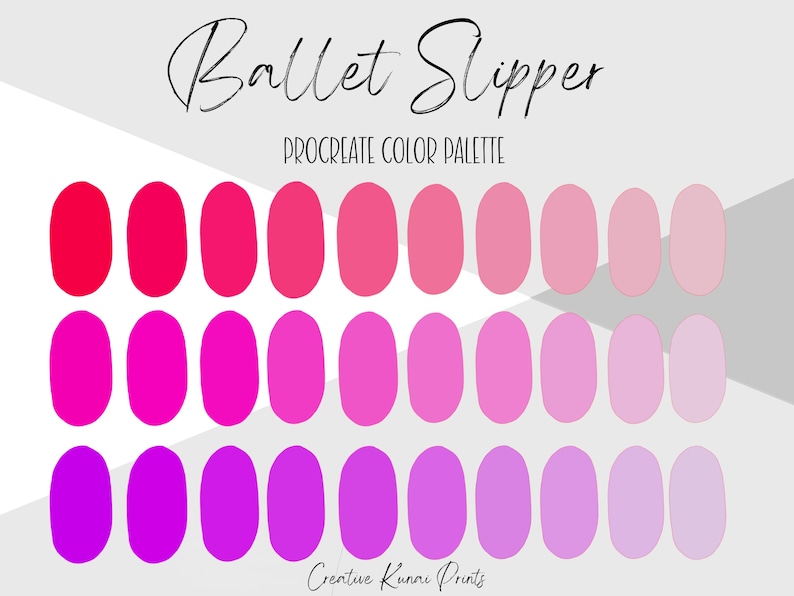 Pink Procreate Palette | Ballet Color Swatches | Instant Download - Etsy