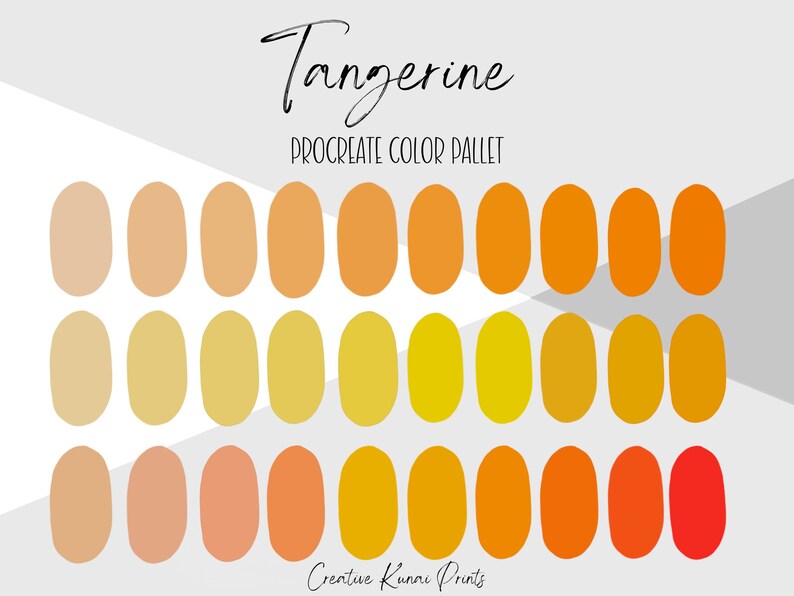 Tangerine Procreate Palette Orange Color Swatches Instant Download - Etsy