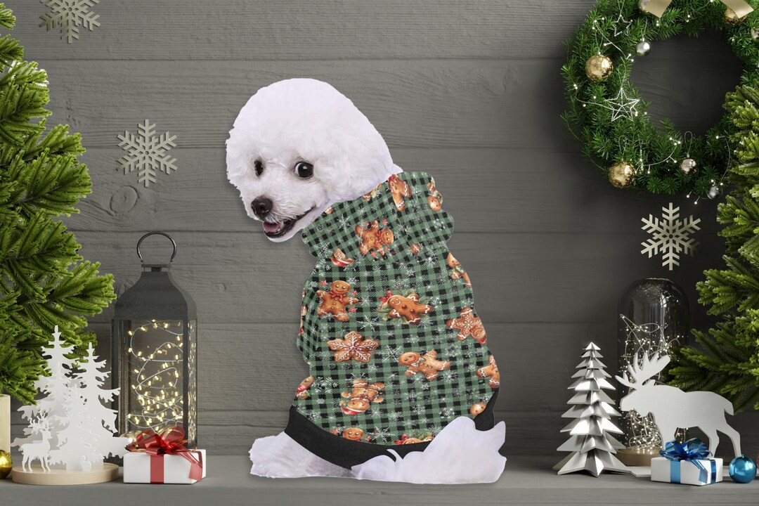 Pet Christmas Pajamas Matching Family Loungewear Dog Hoodie - Etsy