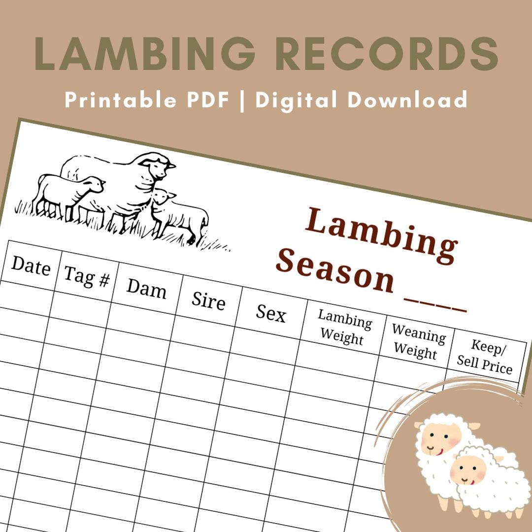 Lambing Season Tracker | Printable Record for Sheep Farmers | Instant ...