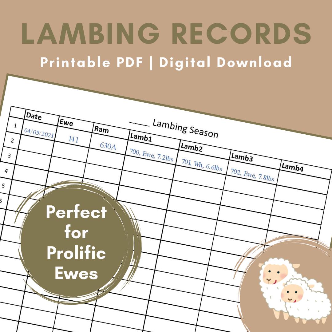 Printable Lambing Record Sheet | Digital Download for Tracking Multiple ...