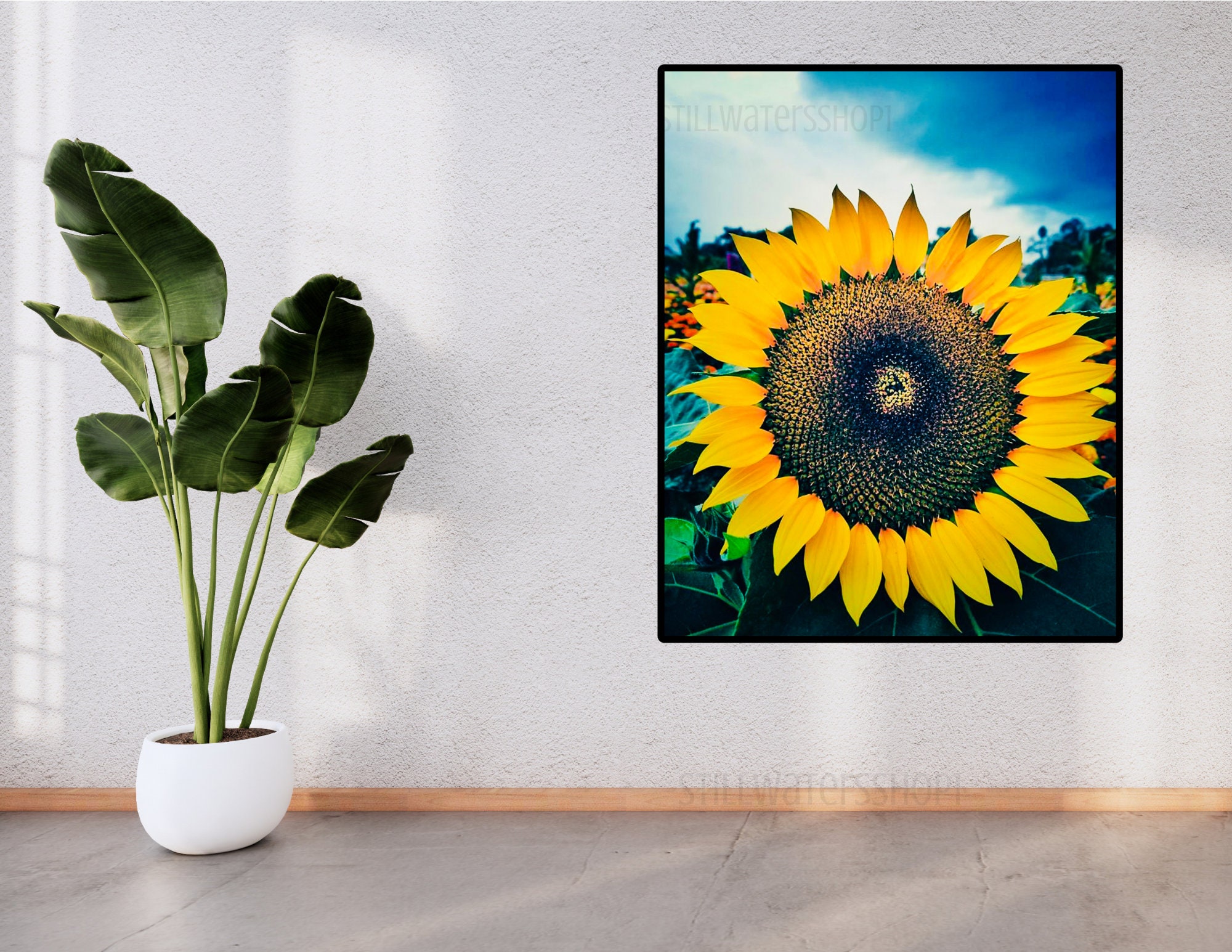 Bright Yellow Sunflower Print, Printable Field of Sunflower, Cheerful ...