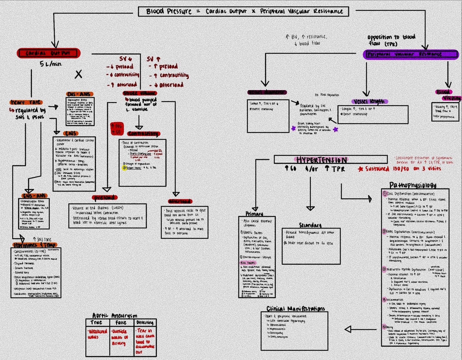 Blood Pressure Flow Chart - Etsy