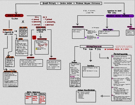 Blood Pressure Flow Chart | Etsy