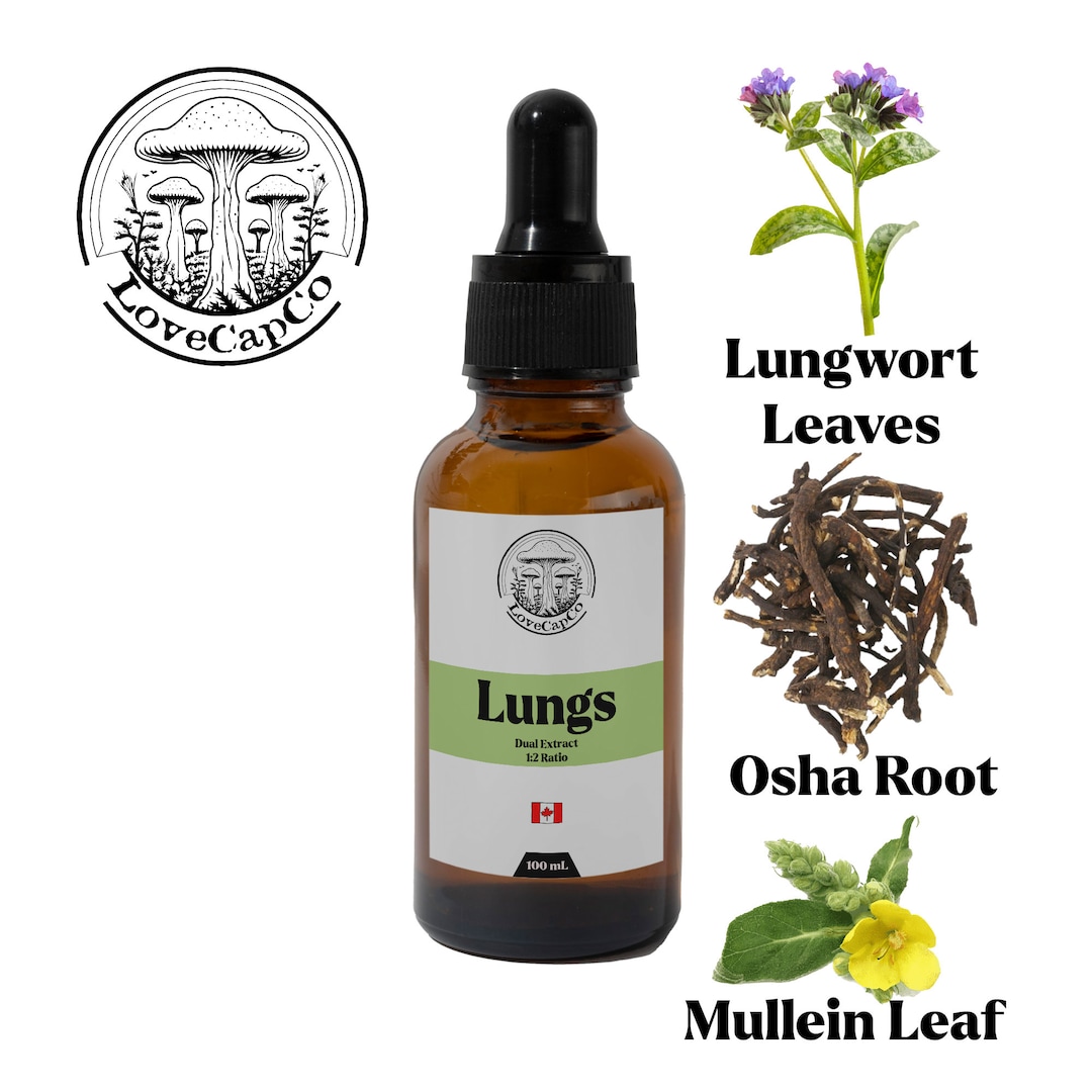 Lungs Complex Tincture - Mullein Leaf / Osha Root / Lungwort Leaves ...