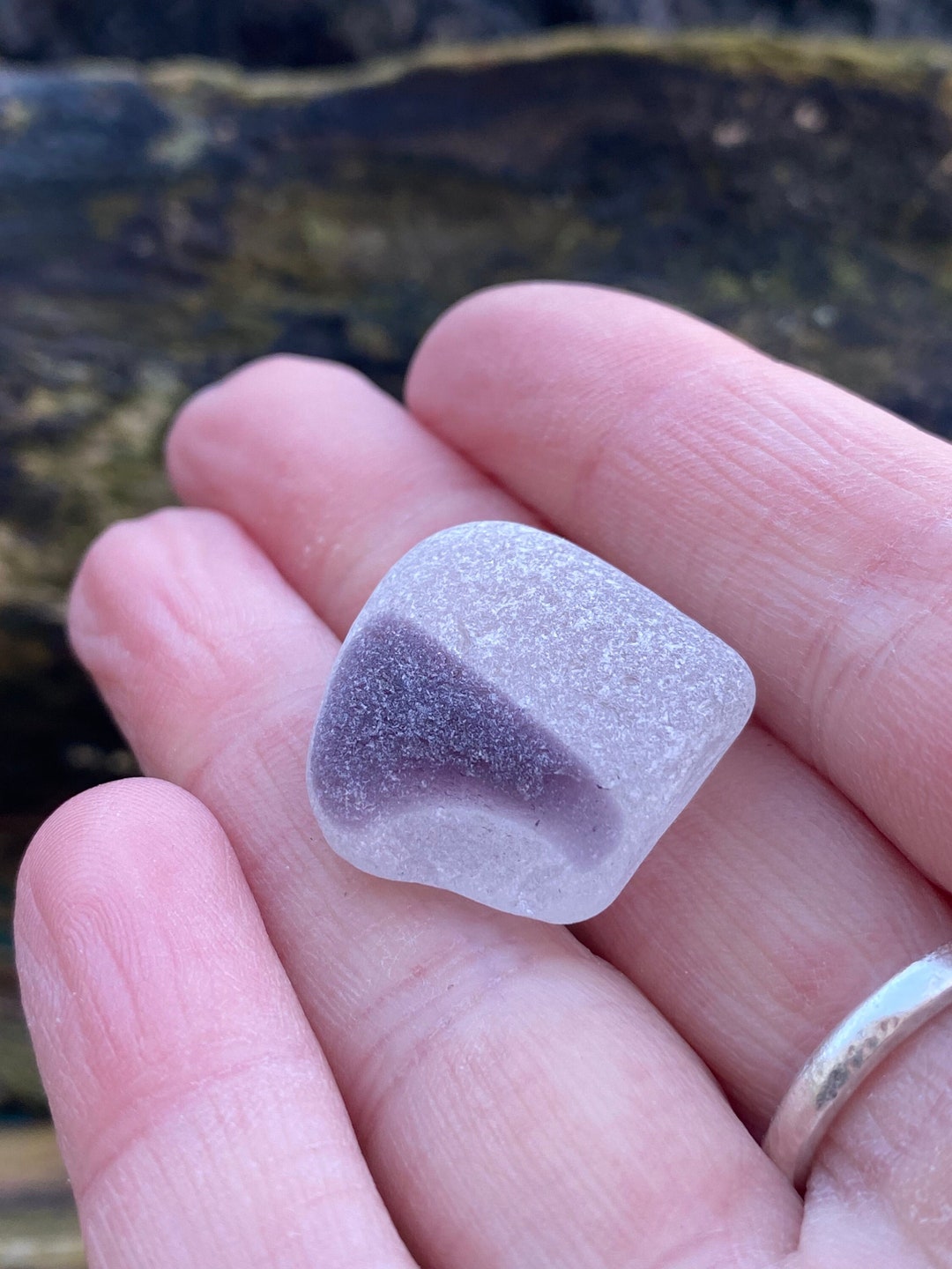 Sea Glass Multi Purple and White Scottish Sea Glass Beach Finds - Etsy