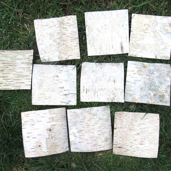 Birch Bark Sheets - Etsy