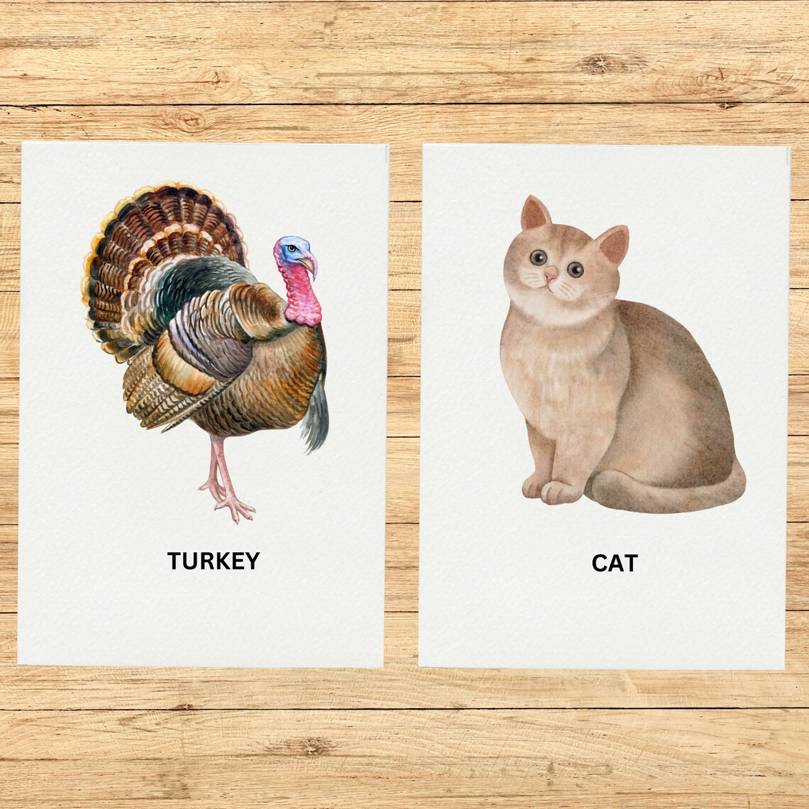 Editable Farm Animal Flash Cards, Montessori Printable (PDF) - Etsy