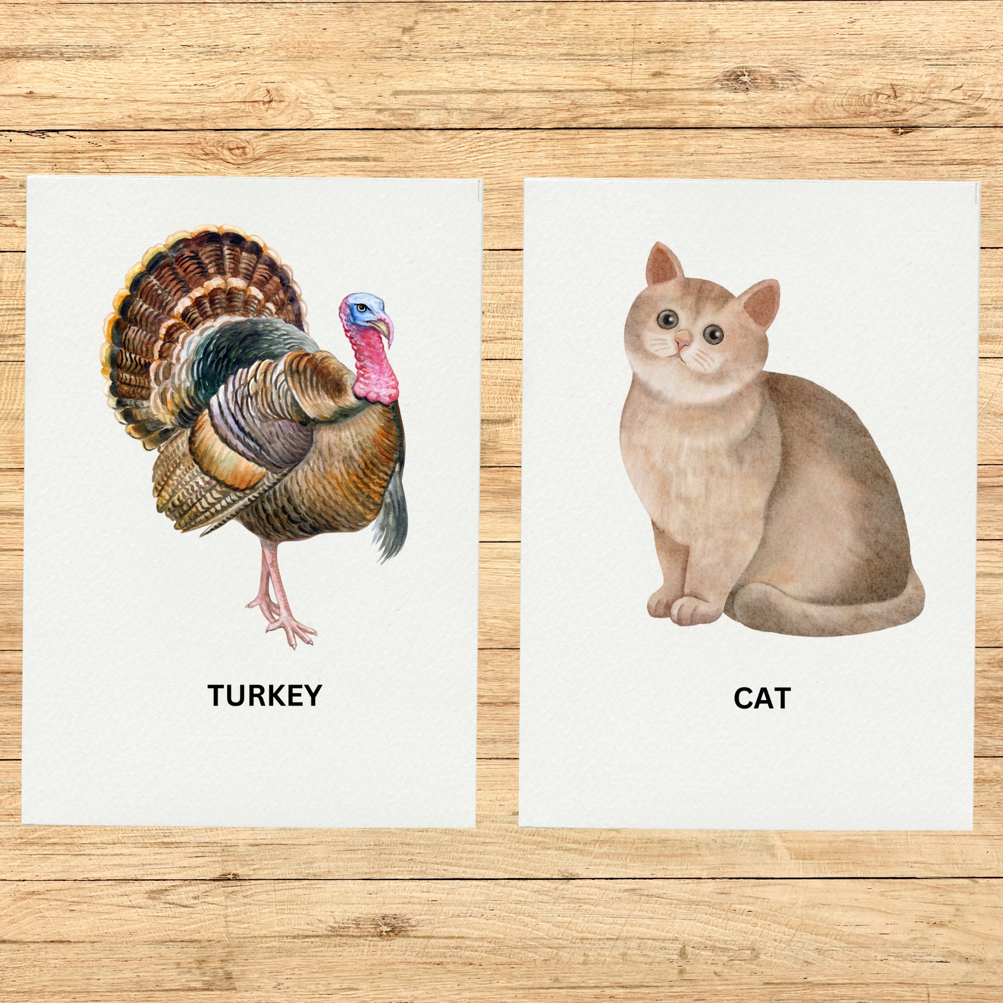 14 Editable Montessori Cards Flash Cards Nomenclature Flashcards PDF ...