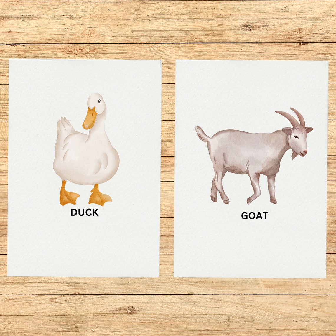 Editable Farm Animal Flash Cards, Montessori Printable (PDF) - Etsy