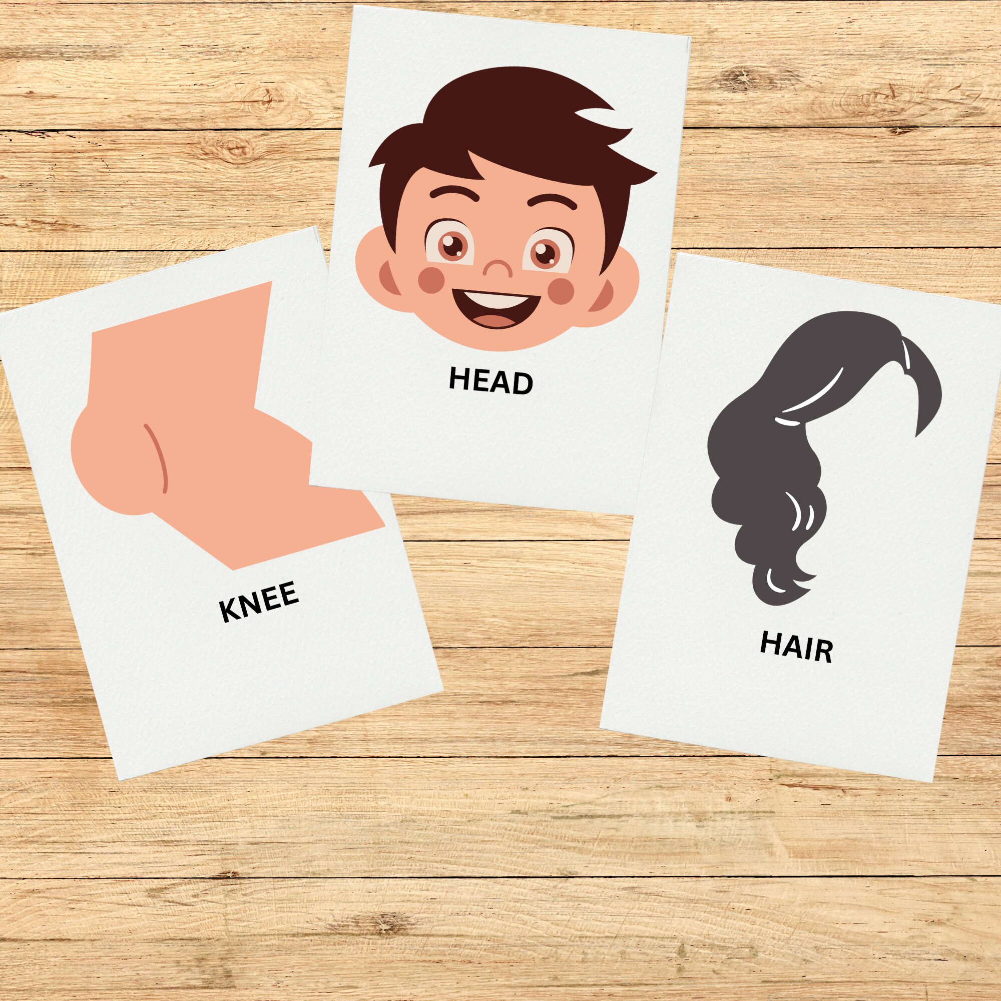 Printable Cards 22 Montessori Cards Flash Cards Nomenclature Cards ...