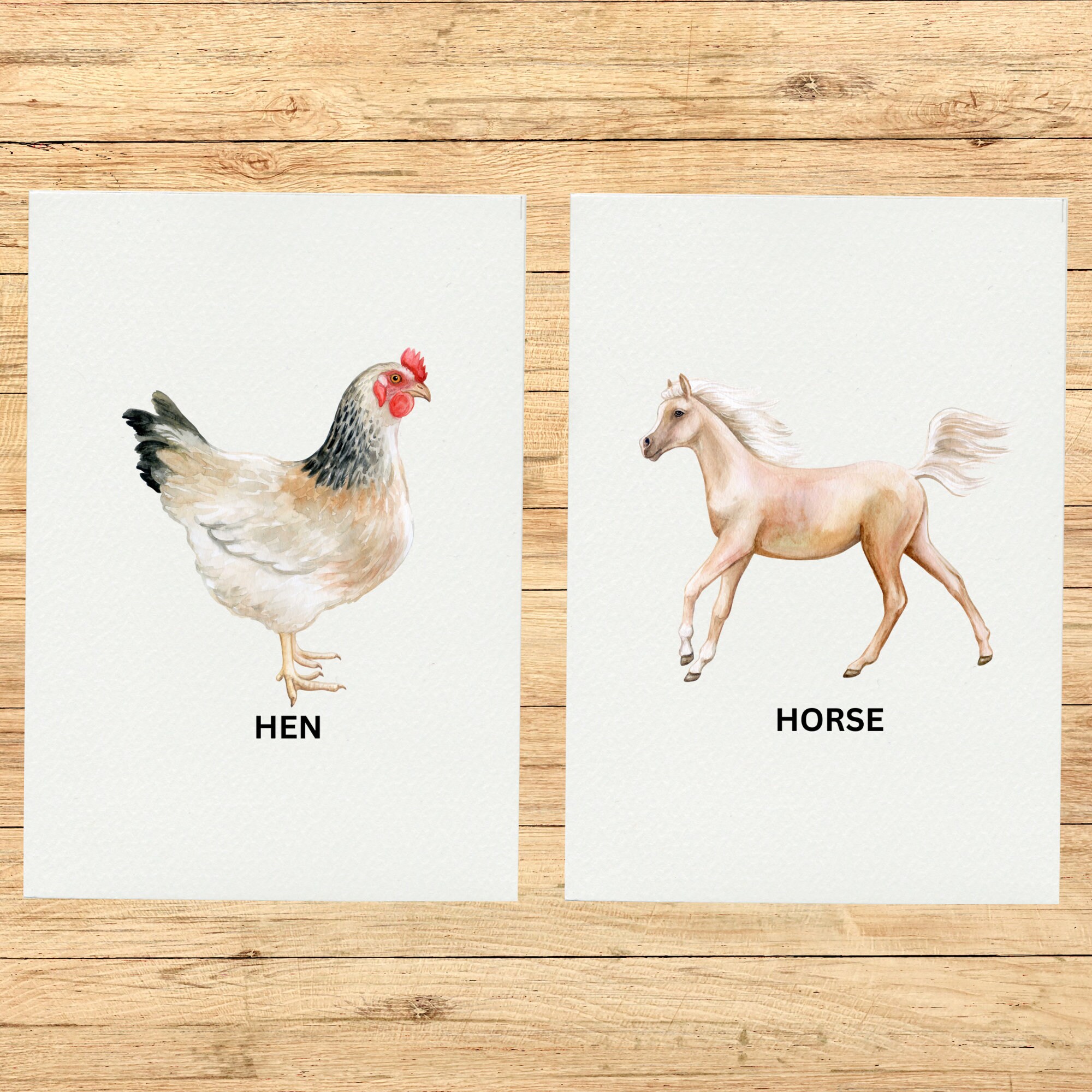 14 Editable Montessori Cards Flash Cards Nomenclature Flashcards PDF ...