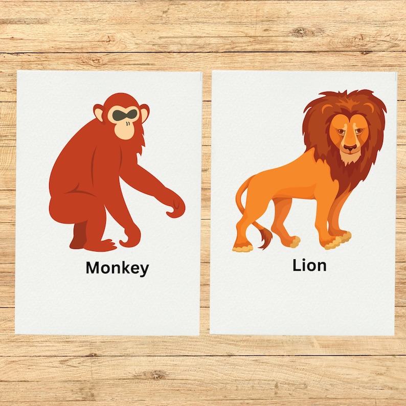 Printable Cards Preschool Jungl Animals Editable Montessori Cards Flash ...